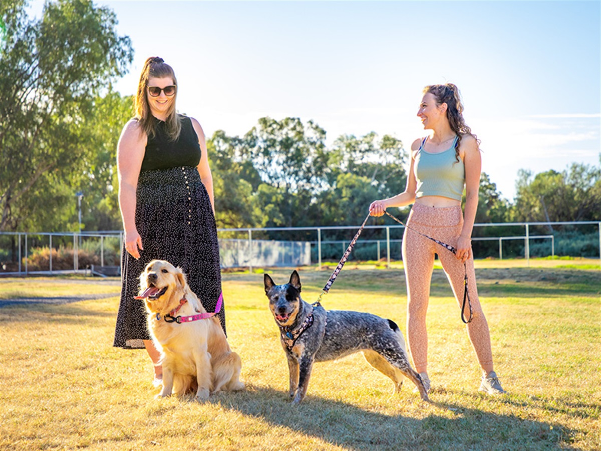 Keeping animals on your property
