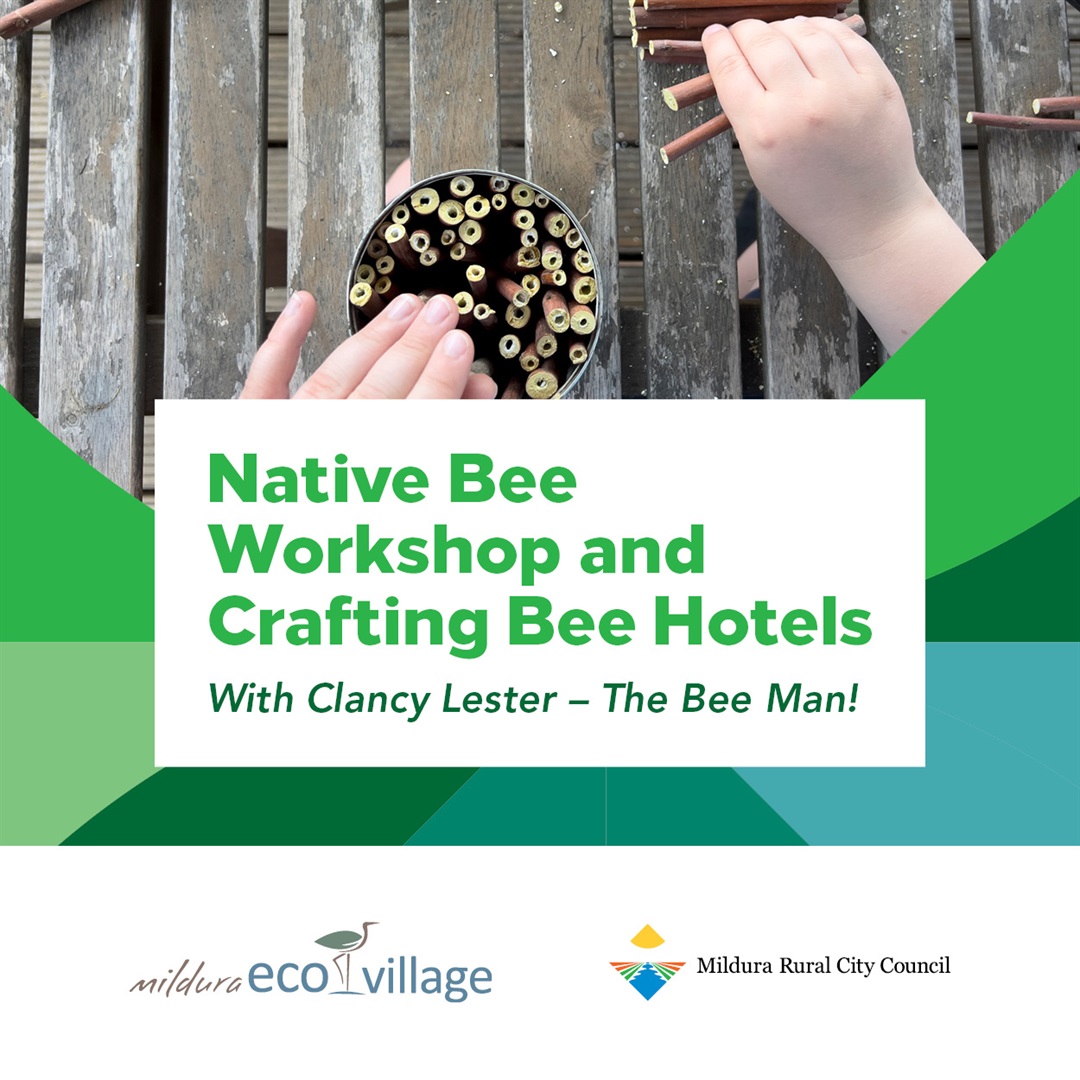 Native Bee Workshop and Crafting Bee Hotels