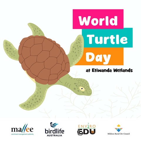World Turtle Day at Etiwanda Wetlands