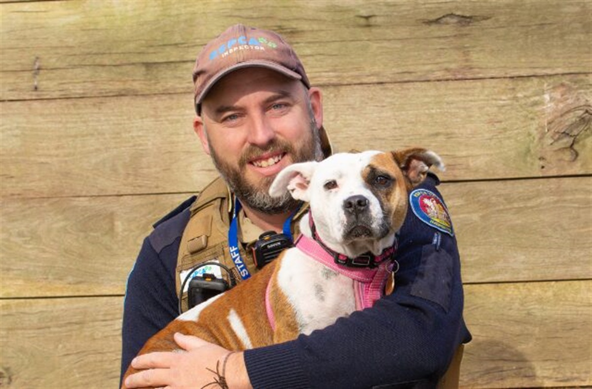 RSPCA visits at Red Cliffs Library