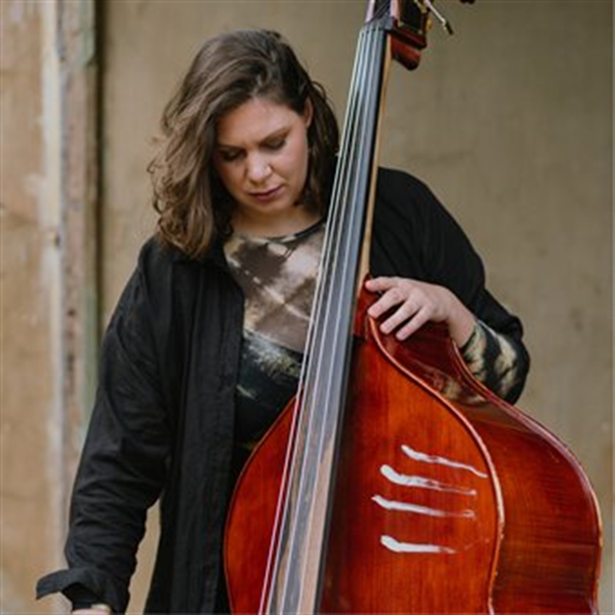 Melbourne Chamber Orchestra + Allara to perform at Powerhouse