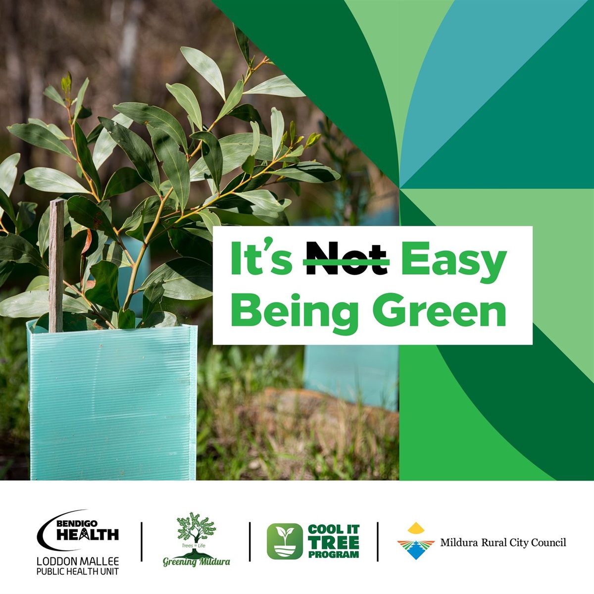 It's Not Easy Being Green
