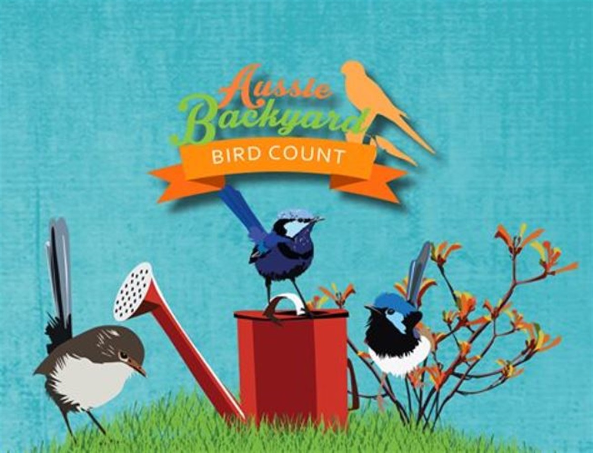Residents urged to join the great Aussie Backyard Bird Count