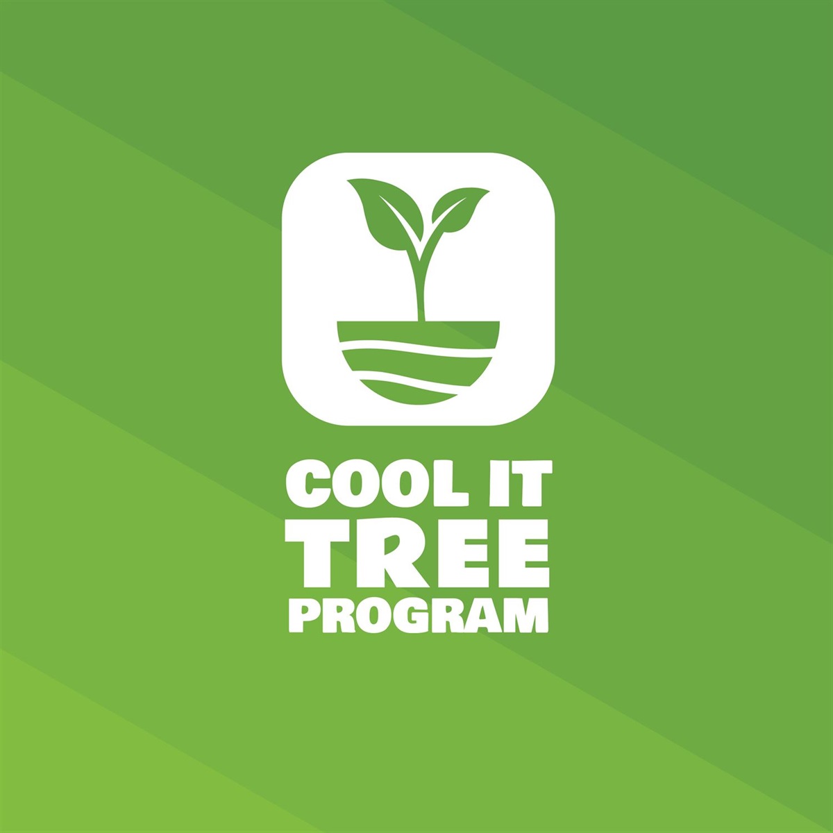 Cool It Program to transform lucky streets across the region