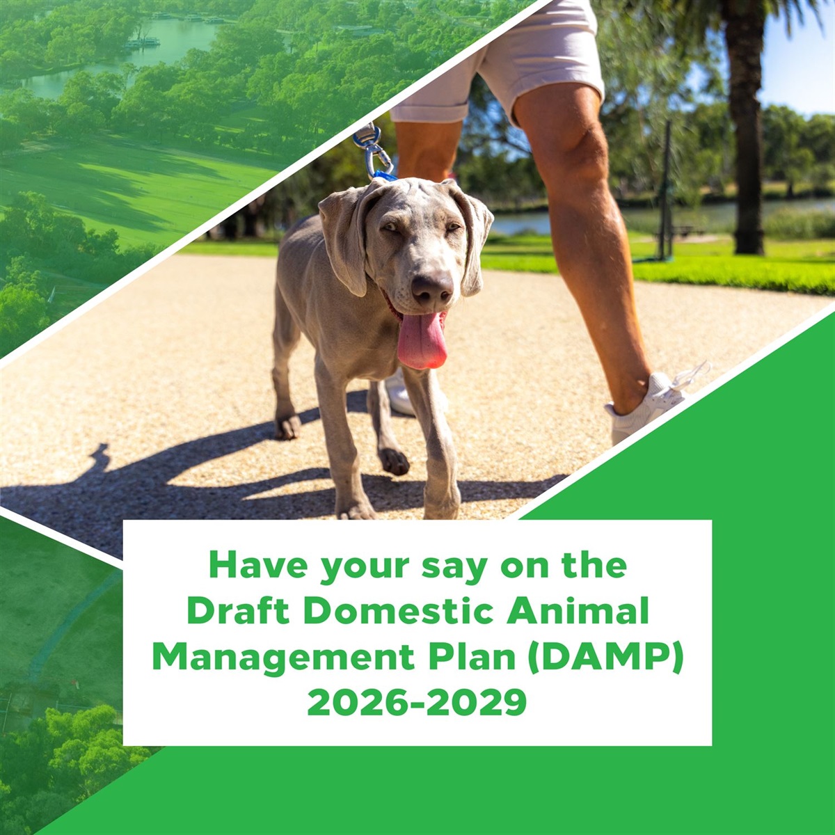 Feedback sought on Draft Domestic Animal Management Plan 2026-29