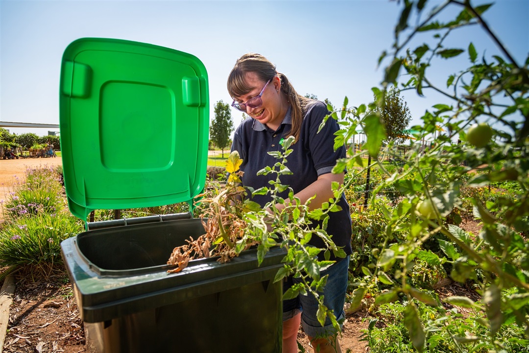 Learn about the green bin before service starts 6 July