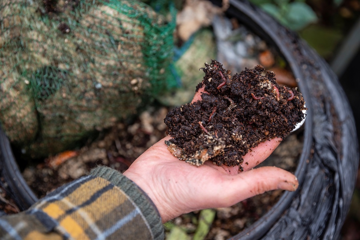 Composting workshop – International Compost Awareness Week